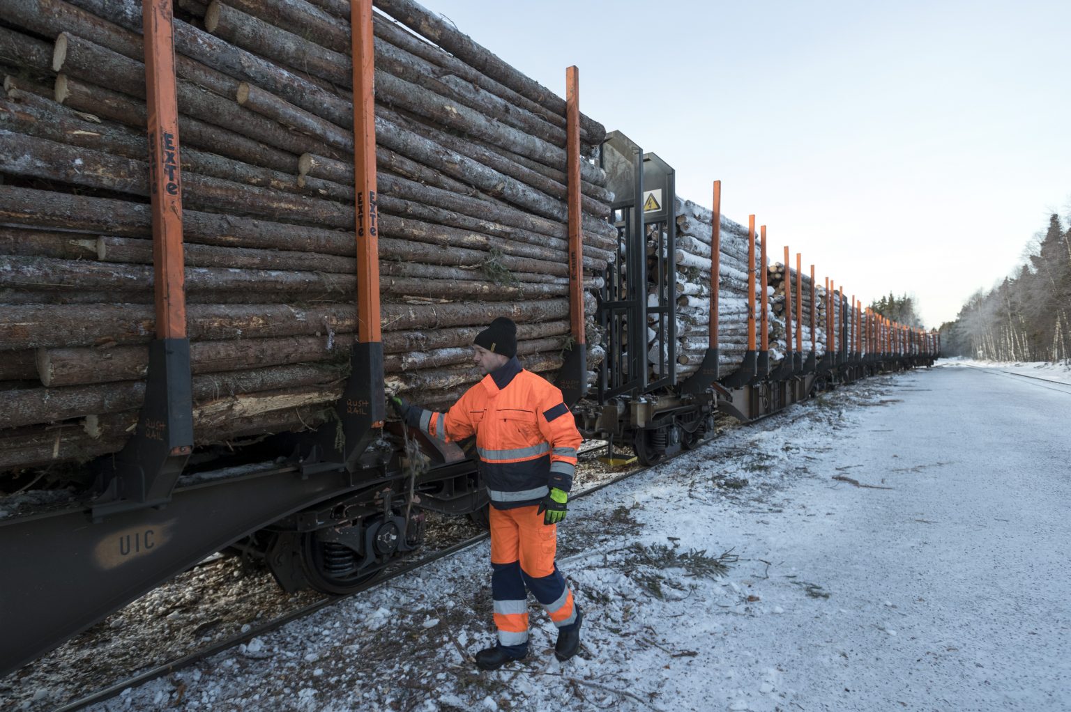 Historia - Hector Rail